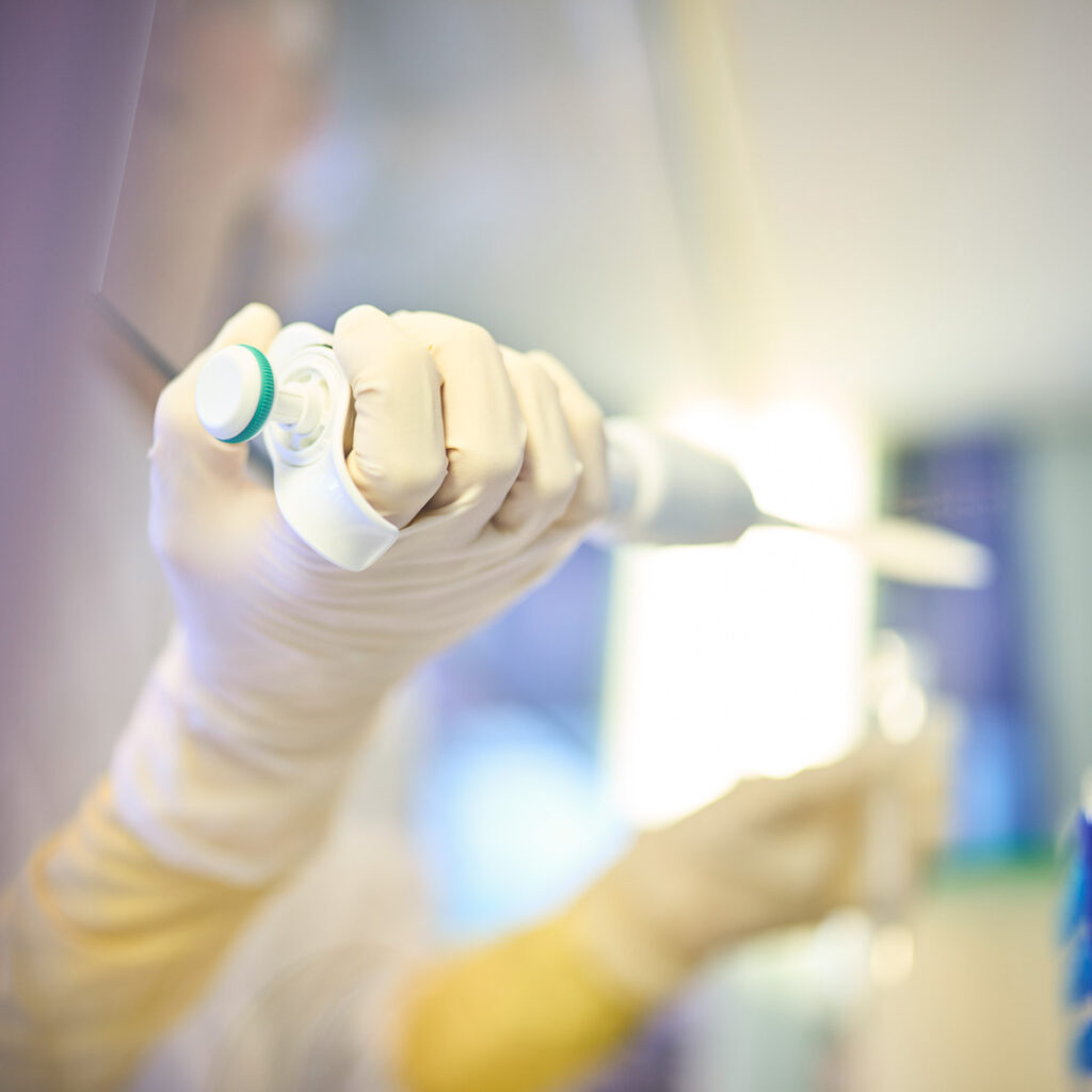 Careers | Welcome to our inclusive work community! | FinVector